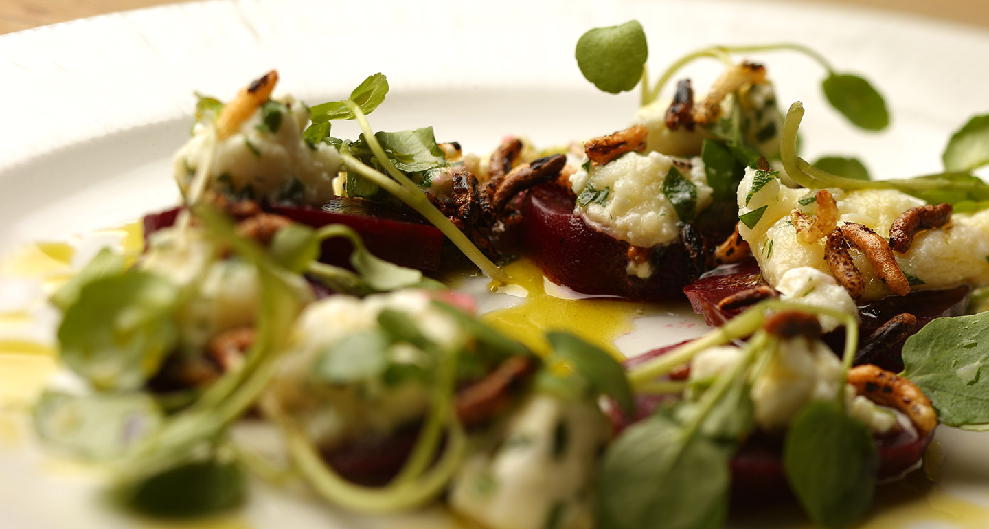 The Freemasons Arms of Nosterfield | Free House Bar & Restaurant